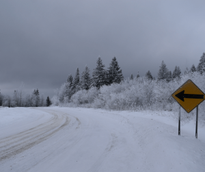 Winter Symbolism: Deep Meanings Behind the Season Unveiled