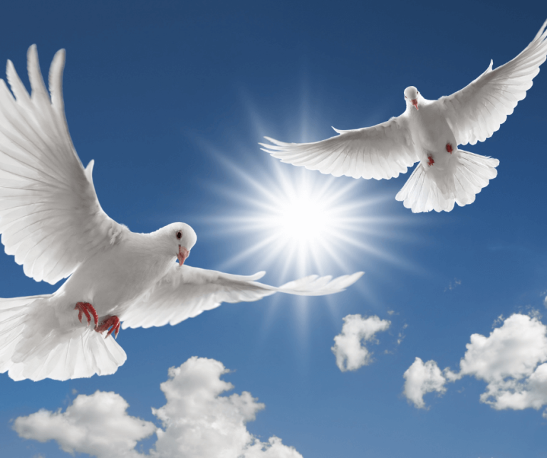 Animals That Symbolize Freedom: A Definitive Guide