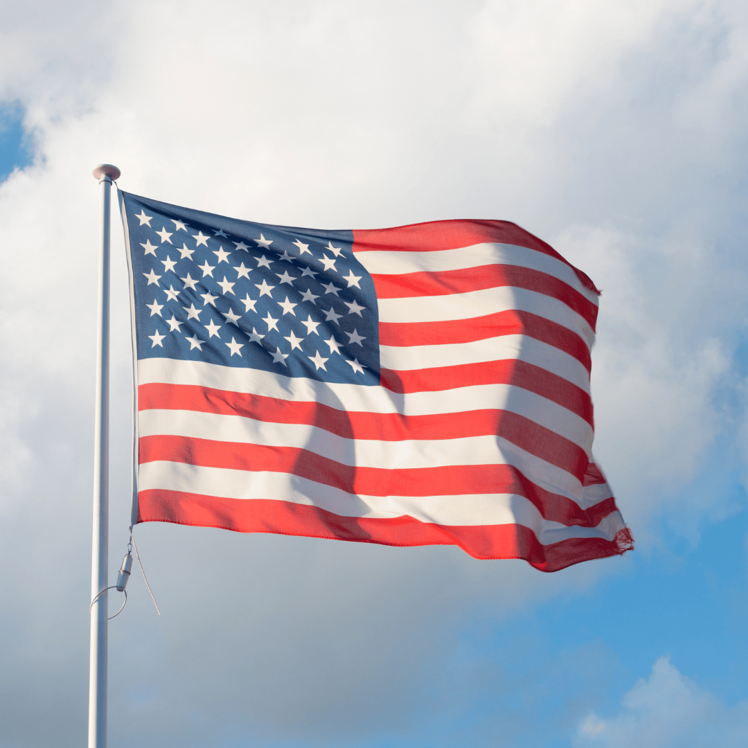Gray Scale American Flag Gray Scale American Flag