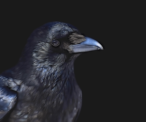 Dead Raven Meaning: Symbolism and Interpretations