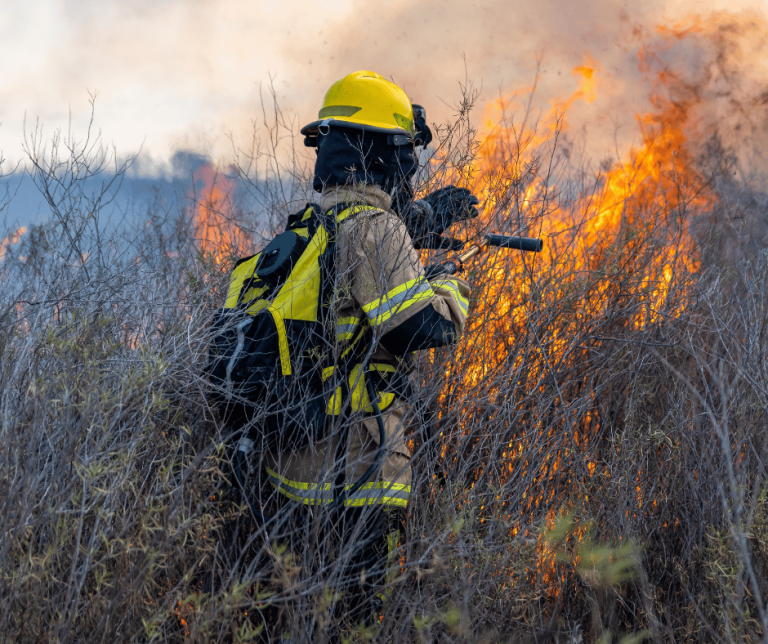 Dream of Putting Out a Fire: What It Means & How to Interpret It