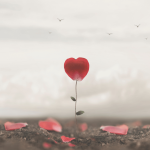 Flowers That Symbolize Freedom: Meanings and Significance Guide