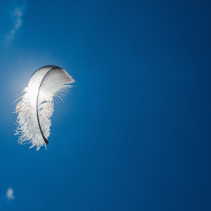 Symbolism of Feathers: Exploring Spiritual and Cultural Meanings